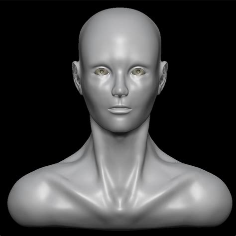 Female Wip Zbrushcentral