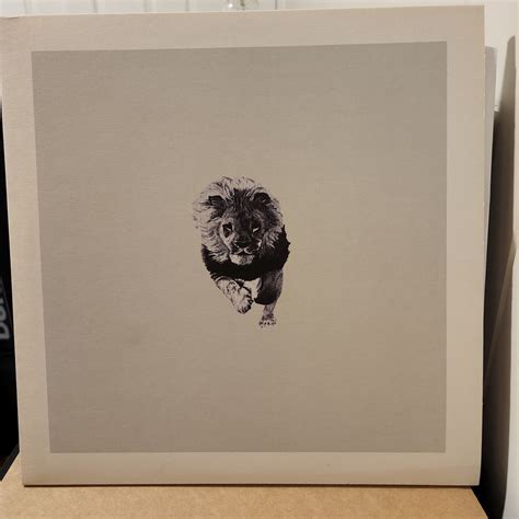 Ziggy Alberts Land And Sea X Four Feet In The Forest ﻿ Vinyl Cd And
