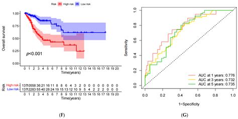 Medicina Free Full Text Identification And Validation Of The