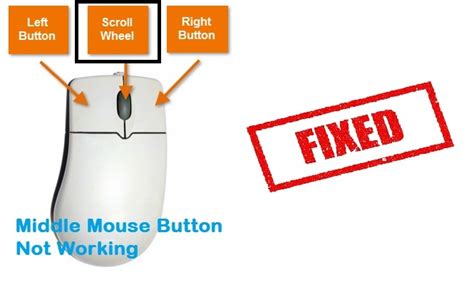 Middle Mouse Button Not Working Easy Fix Solutions