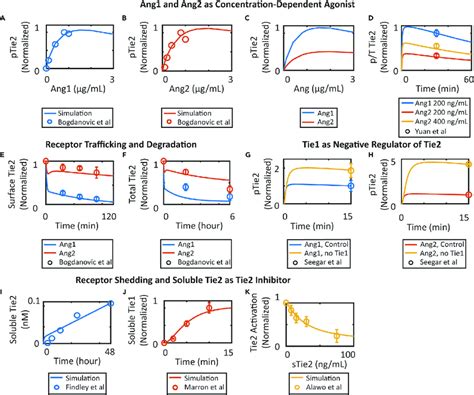Model Calibration Using Global Optimization A And B The Download