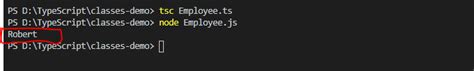 use of accessors in typescript examples codez up