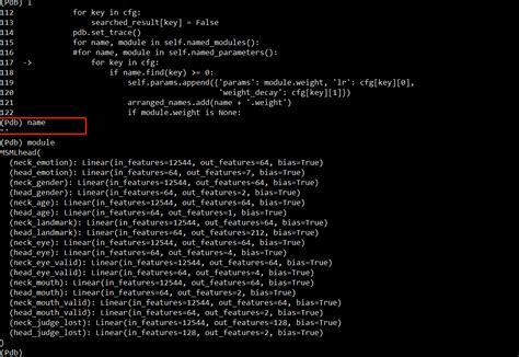 use self named modules return name is empty vision pytorch forums