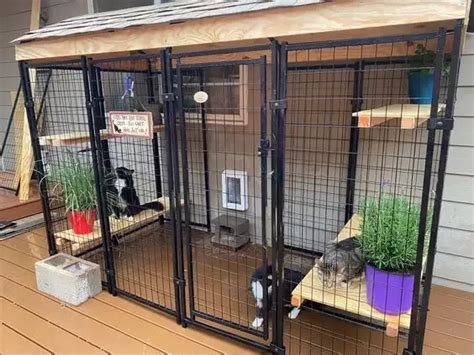 30 Diy Catio Ideas That Are Totally Pawsome Cat Enclosure Diy Cat