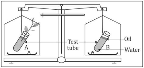 2014 Solved 2014 Question Paper Icse Class 10 Biology Icse Class 10