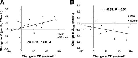 increased skeletal muscle capillarization after aerobic exercise