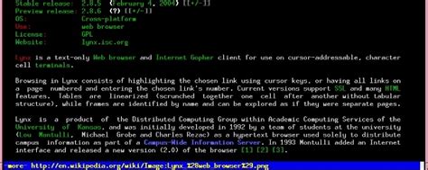 do text based browsers reduce network traffic