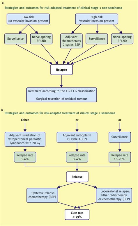 Management Of Testicular Tumours Surgery Oxford International Edition