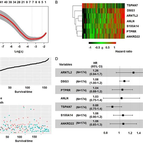 Seven Mrnas In The Prognostic Model In The Tcga Dataset A