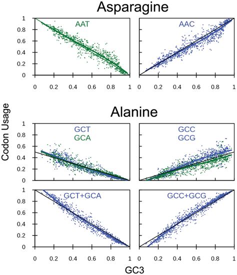 Codon Usage Frequency For Asparagine And Alanine Based On Prokaryotic