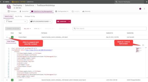deploying salesforce custom metadata using flexdeploy flexagon