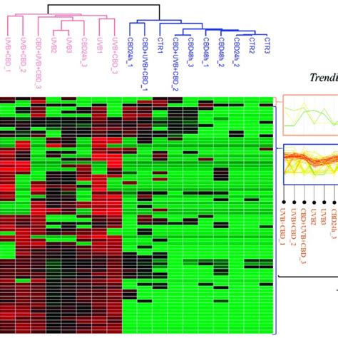 Heat Map And Clustering For Significant Proteins From The Following