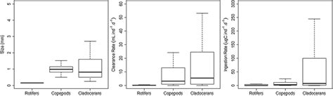Size Mm Clearance Rate Ml Ind⁻¹ Day⁻¹ And Ingestion Rate