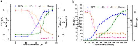 Kinetics Of Batch Fermentation A And Fed Batch Fermentation B Using