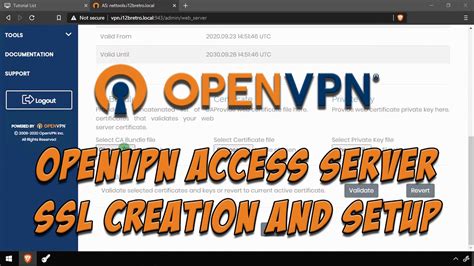 Creating And Applying Ssl Certificate For Openvpn Access Server Youtube