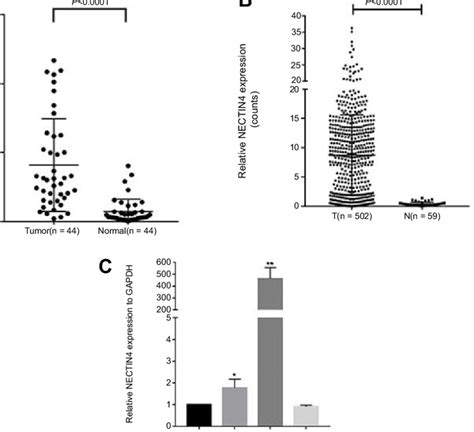 Nectin4 Is Upregulated In Ptc Notes A The Expression Of Nectin4 Was