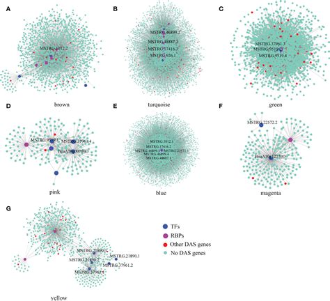 Frontiers Differential Alternative Splicing Genes And Isoform Co