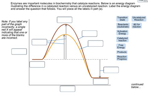solved enzymes are important molecules in biochemistry th