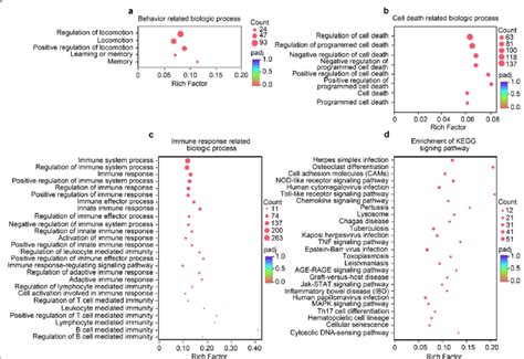 Go Functional And Kegg Pathway Enrichment Analysis Of Degs A C