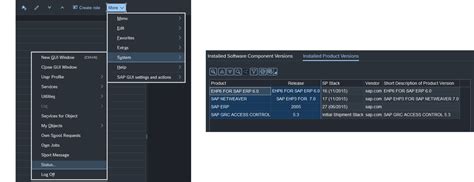 understanding sap versions sap blogs