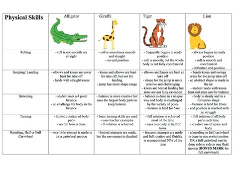 gymnastics lesson plan elissa ky alana westerhof jess downie klara