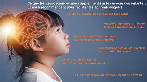 Image Du Cerveau Pour Les Enfants