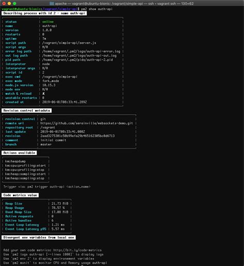 how to run nodejs applications in production using pm2 serverlab