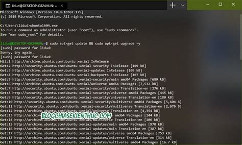 sublime text windows 10 terminal promotide