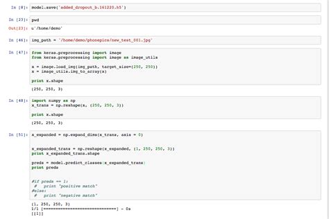 machine learning keras binary classifier model predict class