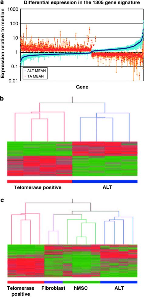 Gene Expression Profiling Distinguishes Telomerasepositive And