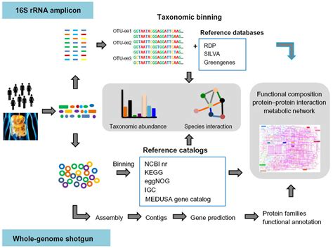 Amplicon Sequencing 16s