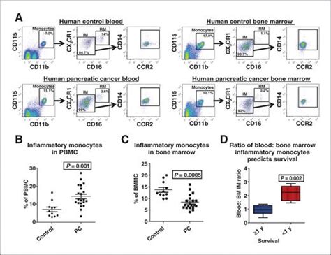 Inflammatory Monocyte Mobilization Decreases Patient Survival In