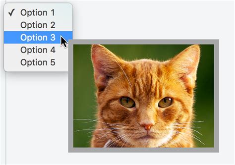 javascript js css html dropdown option on hover show