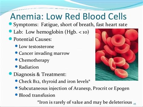 Module 6 Dr Scholz Hormonaltherapies