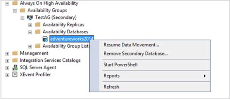 read scale availability group in a clusterless