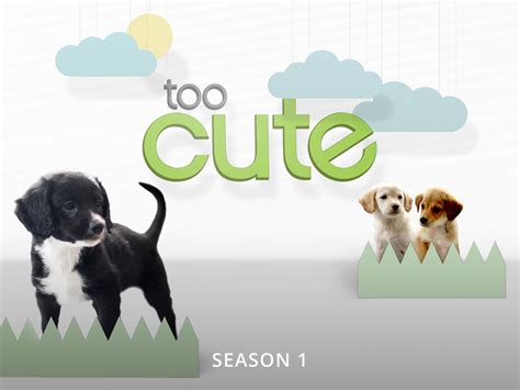 Prime Video Too Cute Season 1