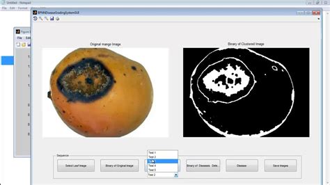 back propagation neural network matlab code projects bpnn
