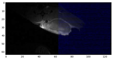python overlay matplotlib imshow with line plots that