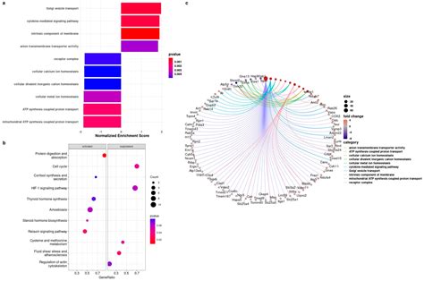 Biology Free Full Text Transcriptomics And Proteomics Analyses