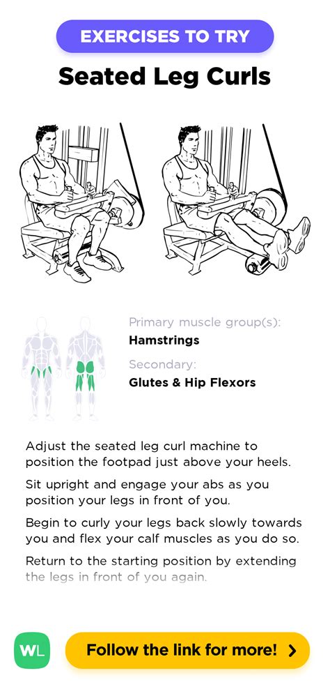 Seated Leg Curls – Workoutlabs Exercise Guide