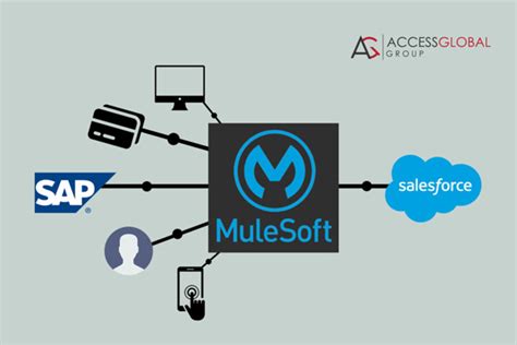 salesforce integration with erp application systems access global