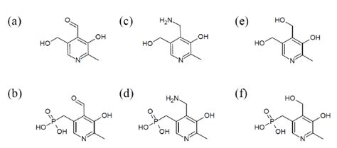 Chemical Structures Of The Six Common B6 Vitamers A B Pyridoxal A