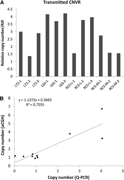 Validation Of Copy Number Variations By Q Pcr A Q Pcr Validation Of