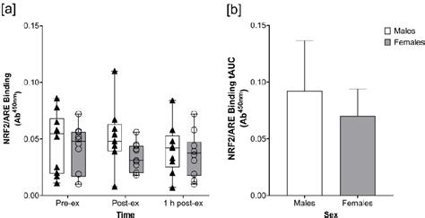 Figure 1 From Influence Of Biological Sex On Exercise Induced Nuclear