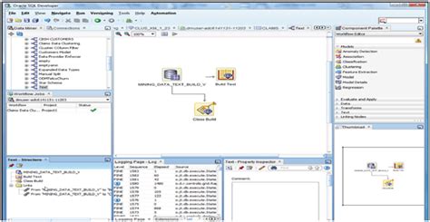 bi direct setting up oracle data miner 11g release 2 by using sql developer 3 1