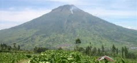 Kebakaran Hutan Di Lereng Gunung Sumbing Meluas Republika Online