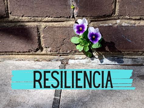 Resiliencia Qué Es Ejemplos 【 2023