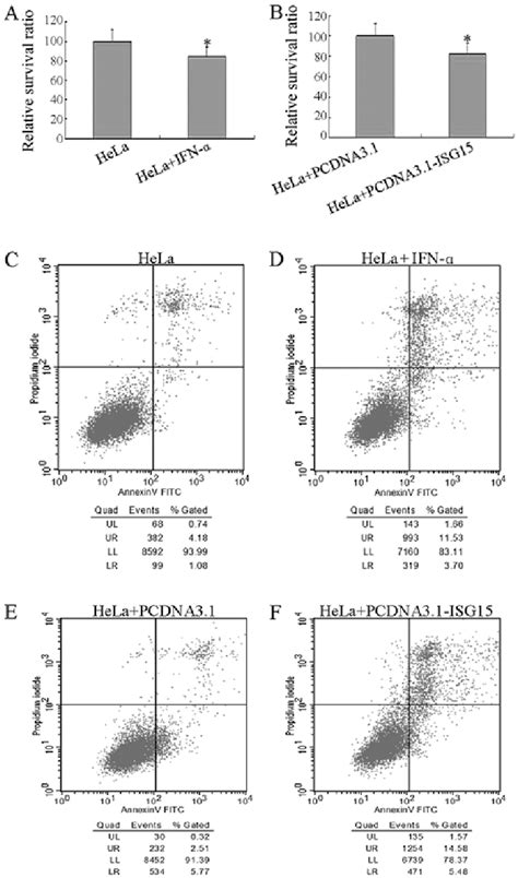 Effects Of Interferon Ifn Stimulated Gene 15 Isg15 On Hela Cell