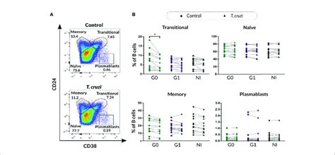 Phenotypic Distribution Based On Cd24 And Cd38 Expression Of Isolated