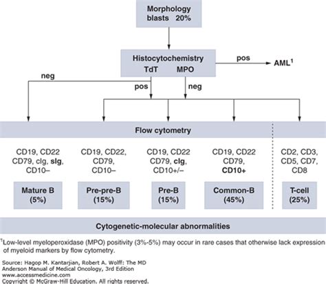 Acute Lymphoblastic Leukemia Oncohema Key